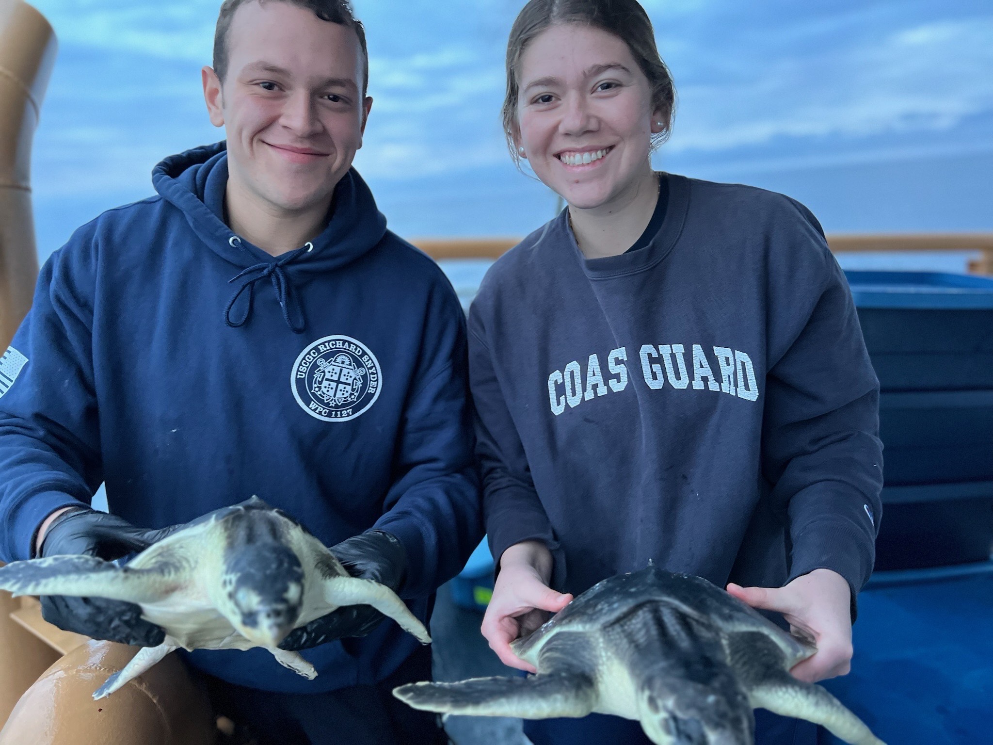 81 Rehabilitated Sea Turtles Released by the U.S. Coast Guard